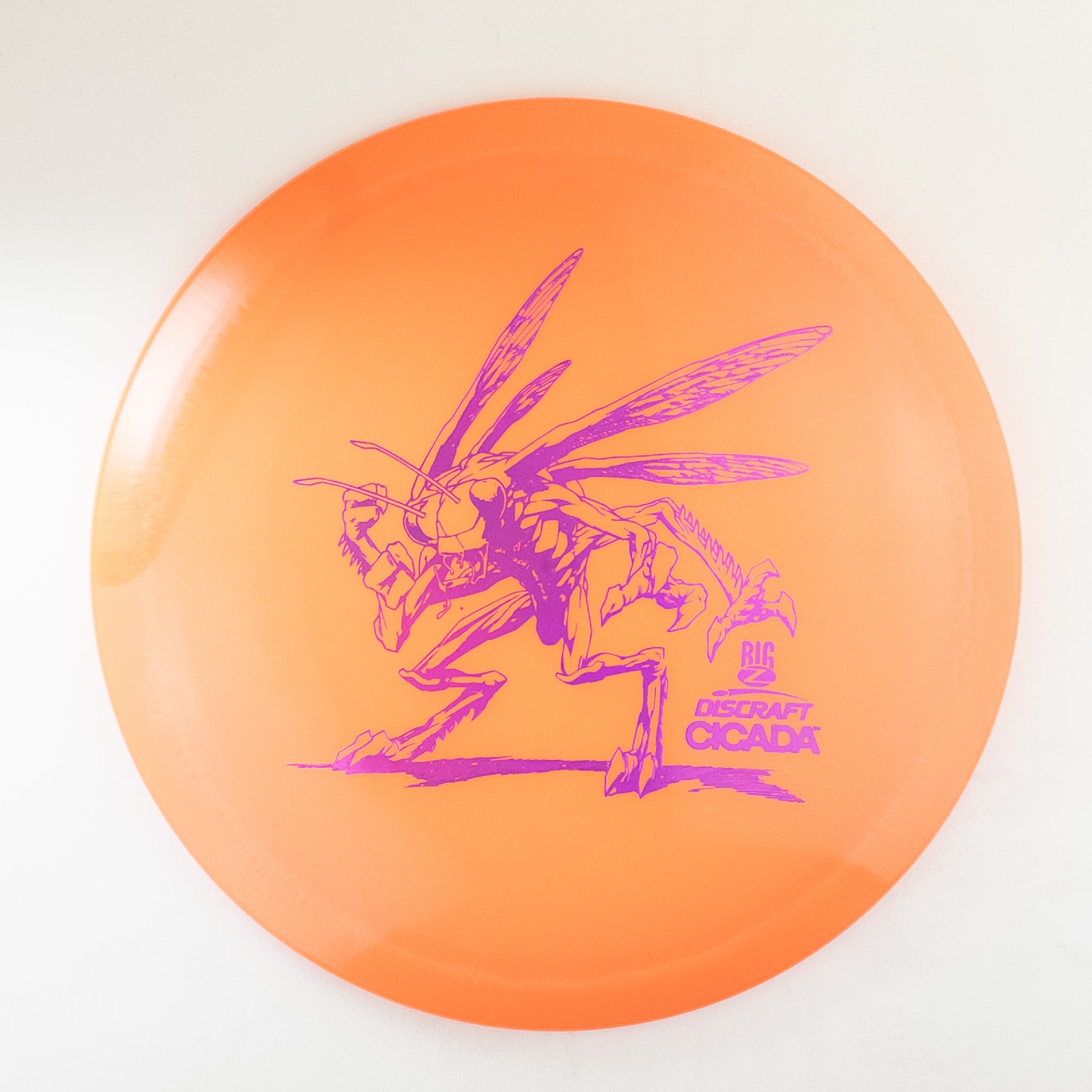 Discraft Big Z Cicada – Chain Reaction Disc Golf Supply